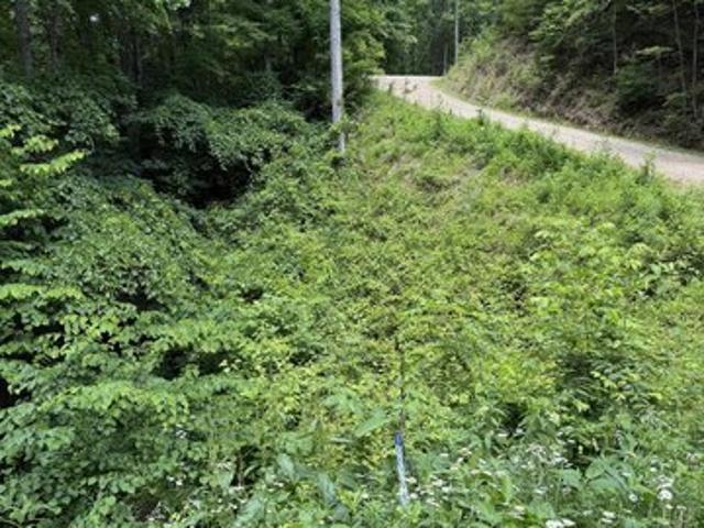 Butternut Ln, Sevierville, TN 37876