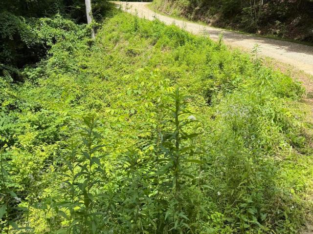 Butternut Lane, Sevierville, TN 37876