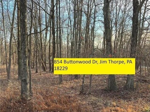 Buttonwood Dr, Penn Forest Township, Plot For Sale