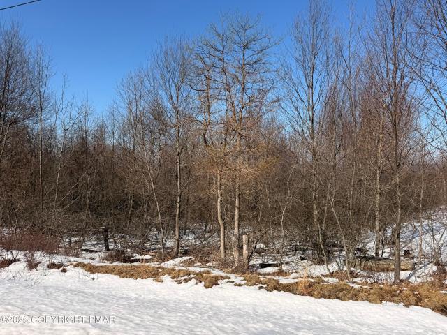 Buttonbush Lane