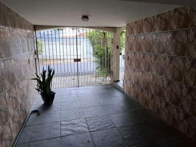 BUTANTÃ