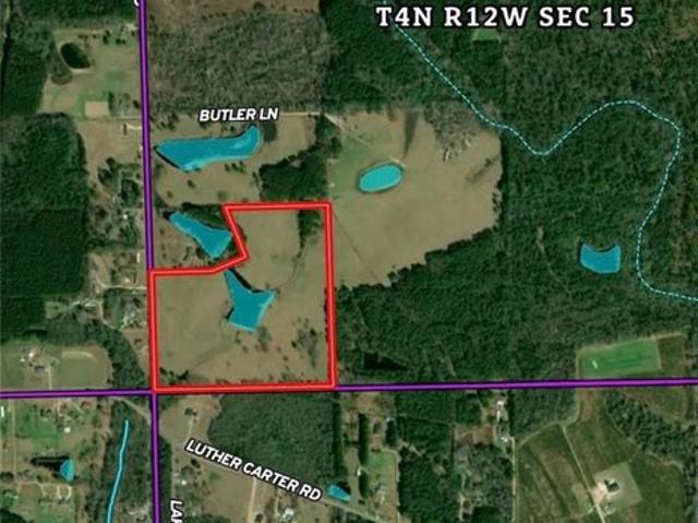 Butler Rd Lot 0, Petal, MS 39465