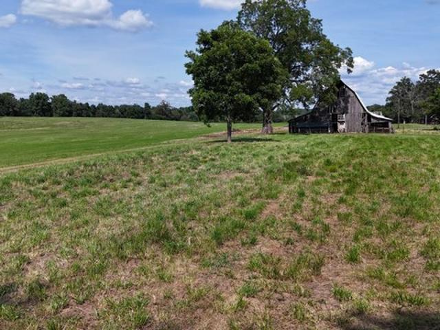 Bybee Branch Rd, McMinnville, TN 37110
