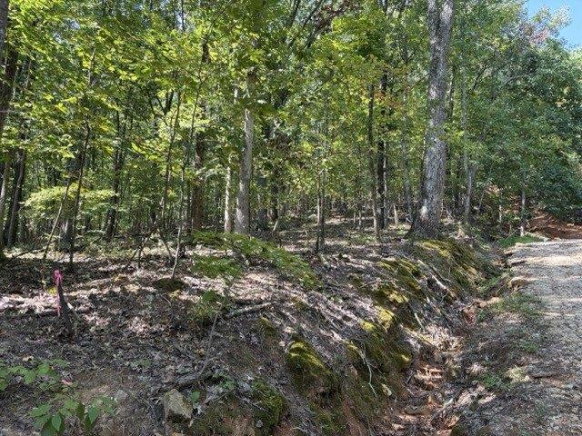 Byrd Dr SE, Owens Cross Roads, AL 35763