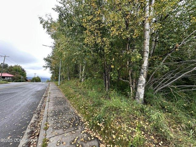 C021 S Valley Way, Palmer, AK 99645