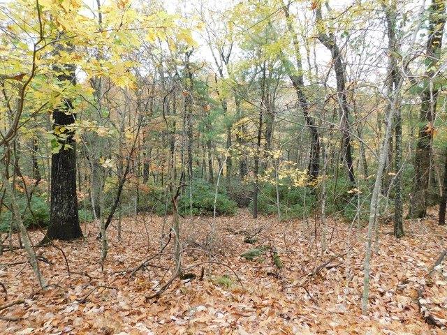 C11 C12 Little Ridge Trl Lot 11C12, Fancy Gap, VA 24328