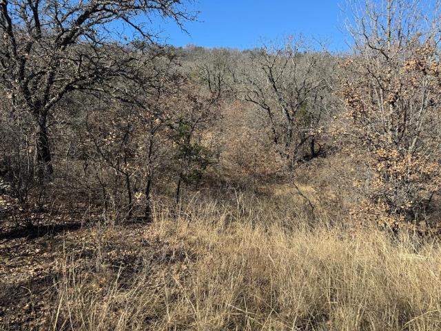 C14 Mallard Cir, Gordon, TX 76453 | MLS #20874