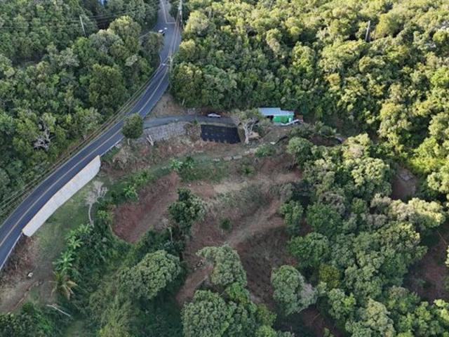 c Misgunst Gns, Saint Thomas, Plot For Sale