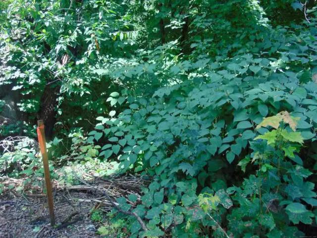 c OLUMBIA BLVD EXTENSION, WATERBURY, CT 06704 Vacant Land For.