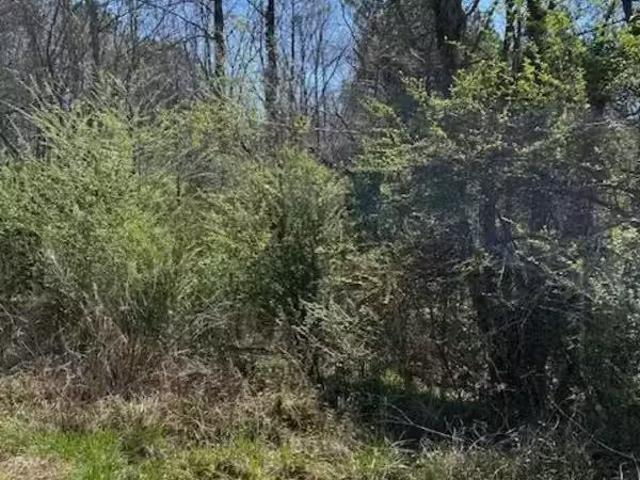 c ATHEDRAL LANE, MCCALLA, AL 35111 Vacant Land For Sale MLS#.