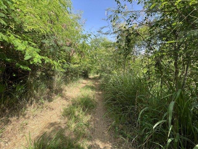 C b Lovenlund Gns, Saint Thomas, Plot For Sale
