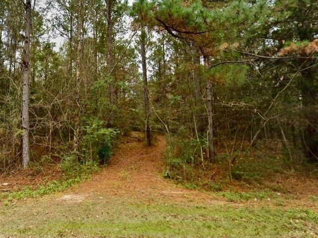 C B Whitehead Rd, Ponce de Leon, FL 32455