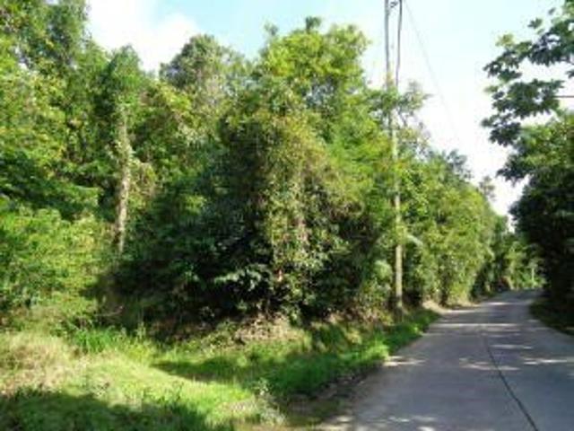 c Carolina Corl, Saint John, Plot For Sale