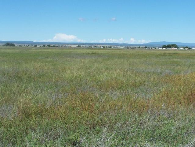 C Del Sol A081/Mulberry # A146, McIntosh, NM 87032