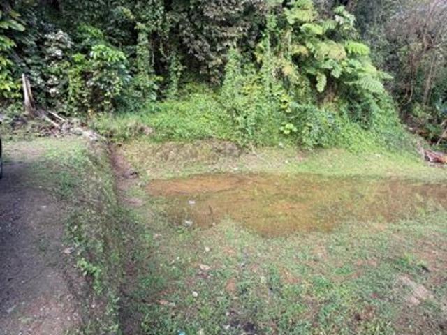 C El Carla Cedros Unit,naranjito, Plot For Sale