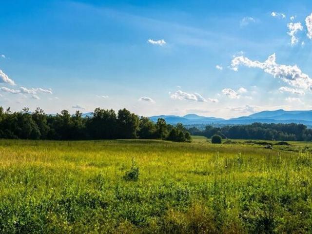 c Fitzgerald Rd Lot,morristown, Plot For Sale