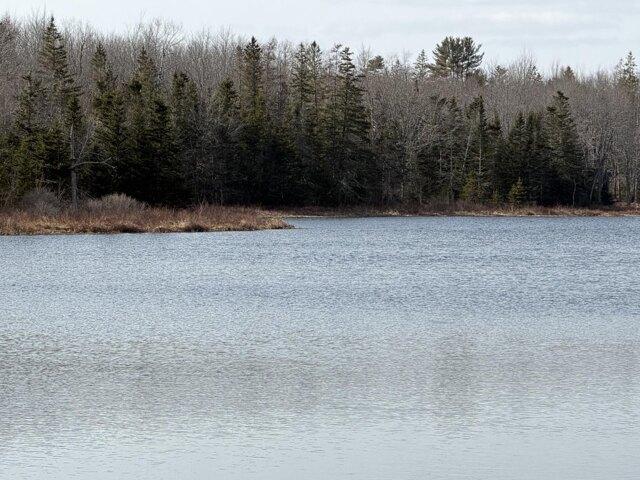 C Guzzle Rd, Gouldsboro, Plot For Sale