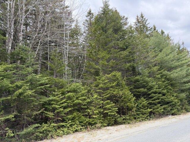 c Gouldsboro Point Rd, Gouldsboro, Plot For Sale