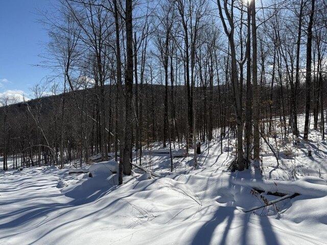 C Great Roaring Brook Rd Lot S, Plymouth, Plot For Sale