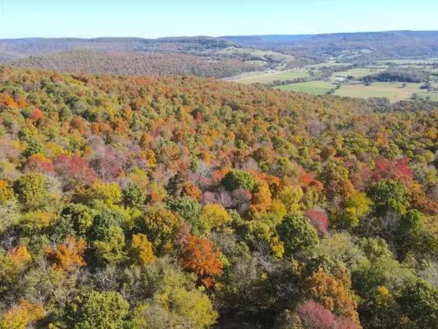 c R 935, BERRYVILLE, AR 72616