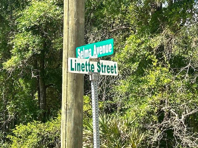 C Selma Ave, Interlachen, FL 32148 | MLS #261091 | Compass
