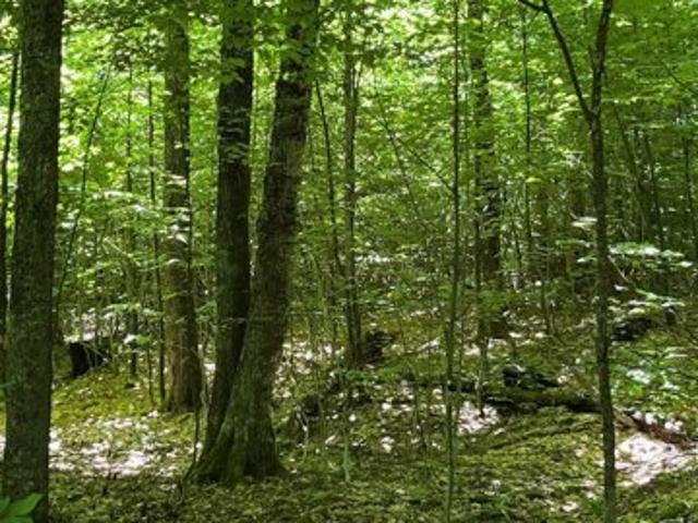 C Westover Rd, Plot For Sale
