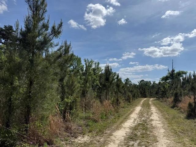 C Williams Rd, Bainbridge, GA 39861