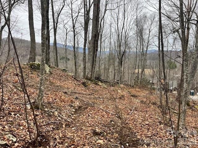 C 114 Spring Water Ln, Banner Elk, NC 28604