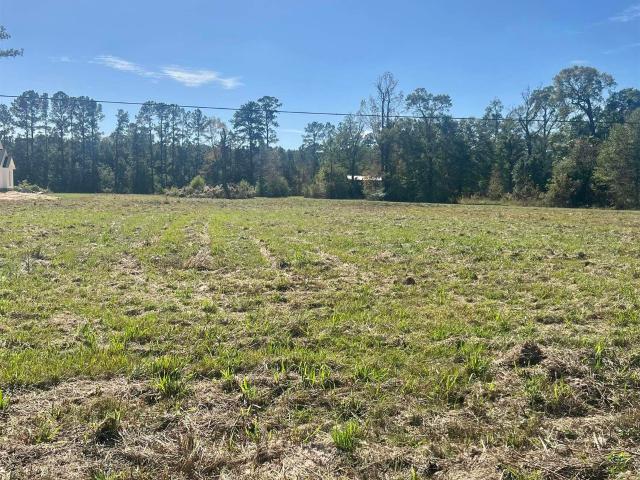 Cc 2 a & b Herman Ernest Rd, Denham Springs, LA 70706 | MLS #BR2025008
