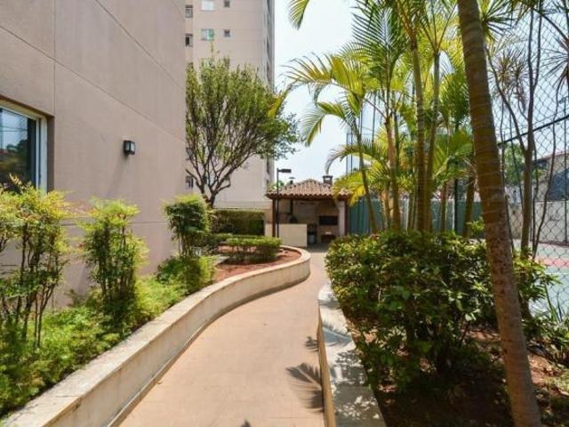CCCGP 321 Apto theremaxcollection RYFPI