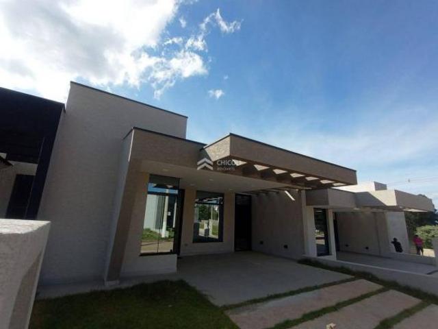 Ca104 Cotia