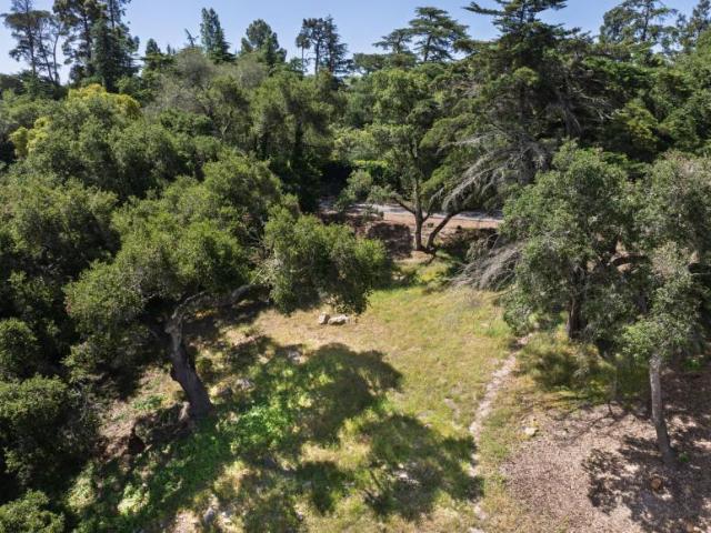 CA CA 101882616