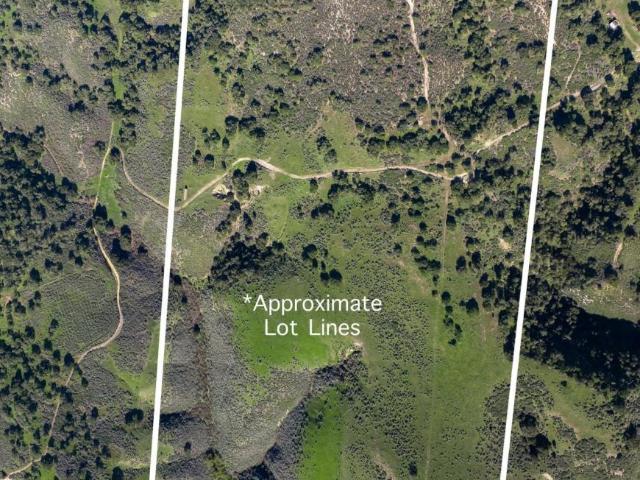 CA CA 101882749