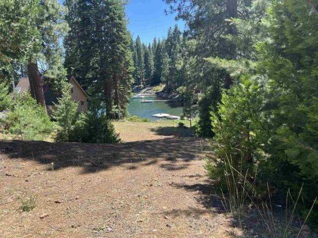 CA CA 101882835