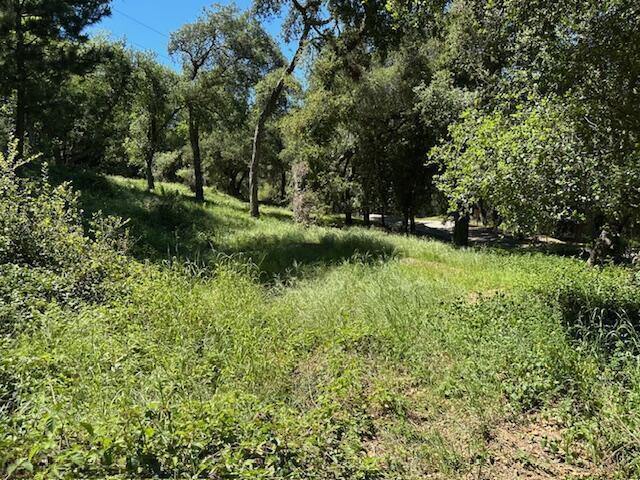 CA CA 101882837