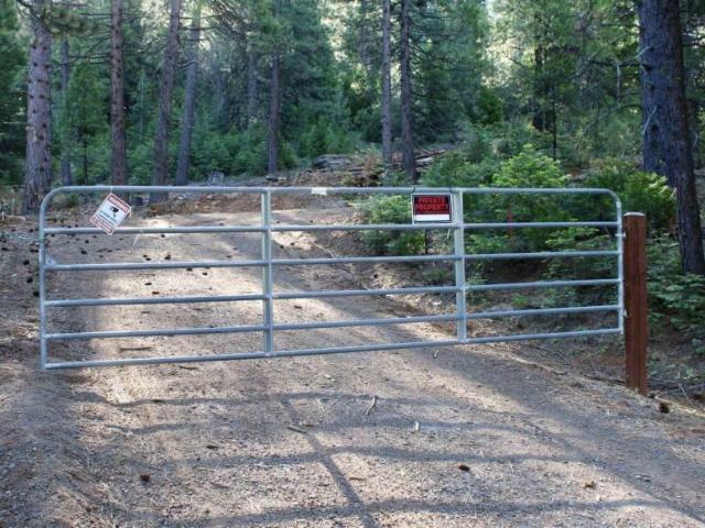 CA CA 101882860