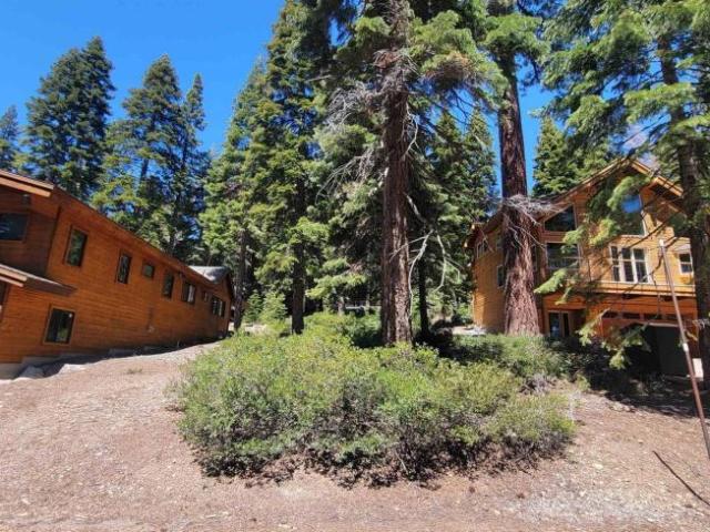 CA CA 101987011