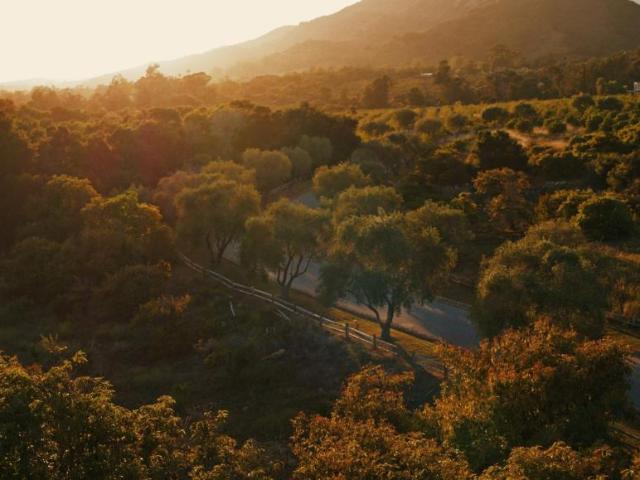 CA CA 102520734