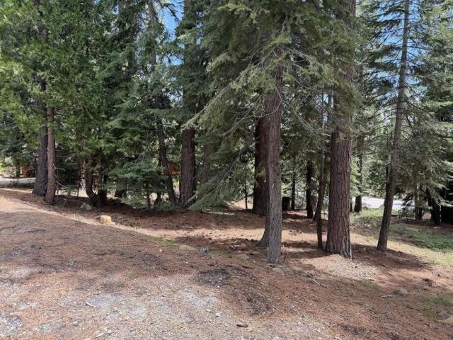 CA CA 102629611