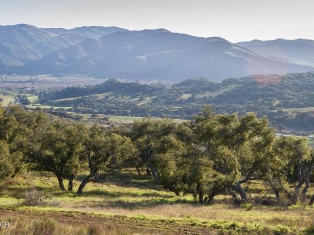CA CA LS101055272