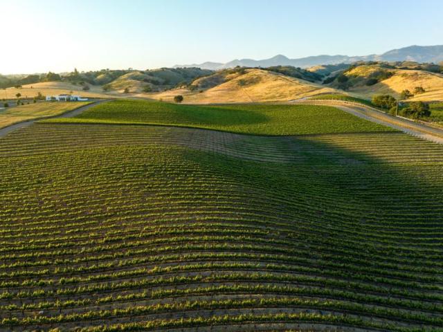 CA CA LS101055234