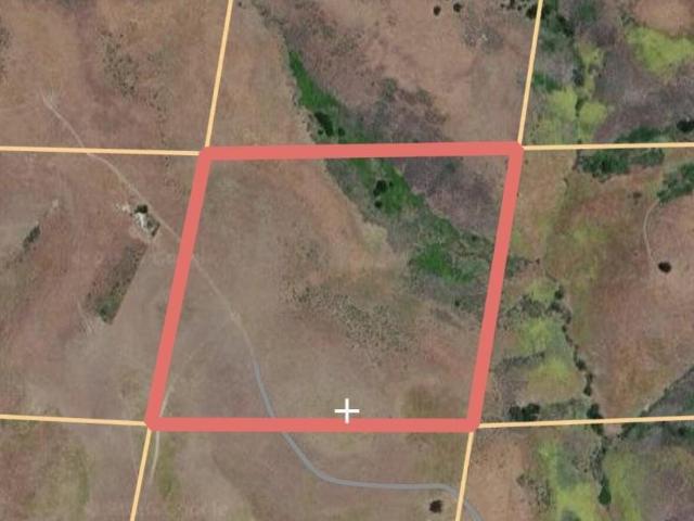 CA CA LS102629612