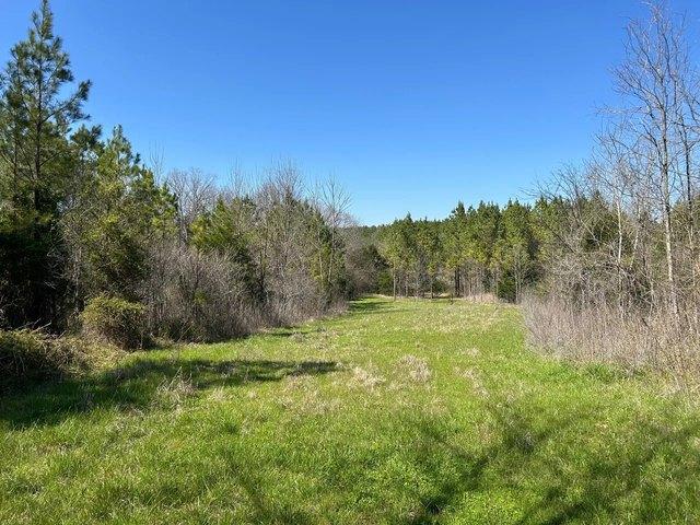 Camargo Rd, Nettleton, MS 38858