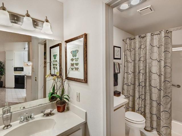 Camarillo Oaks 2 Bedroom Apartment for Rent at 921 Paseo Camarillo, Camarillo, CA 93010