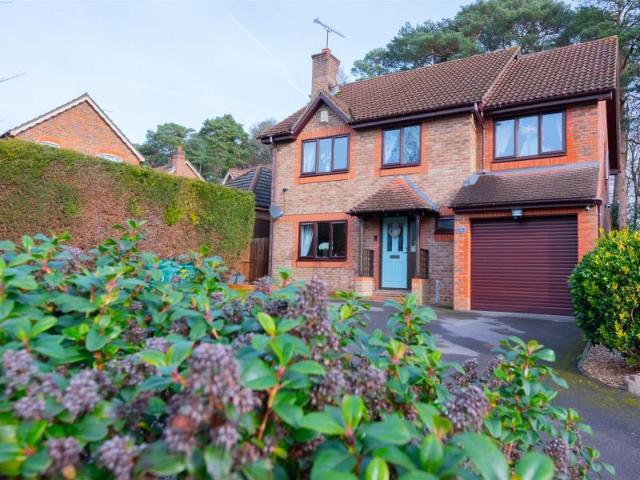 Camberley 5 bed detached house to rent £3,000 pcm £692 pw