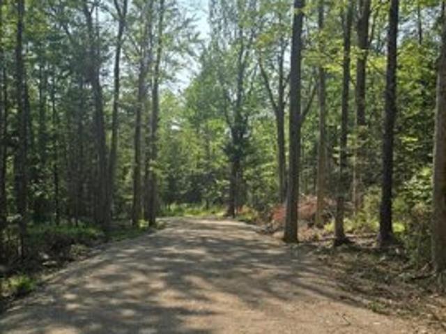 Camden Rd Lot,lincolnville, Plot For Sale