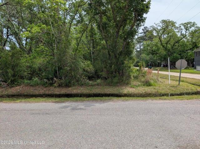 Cameo St, Waveland, MS 39576