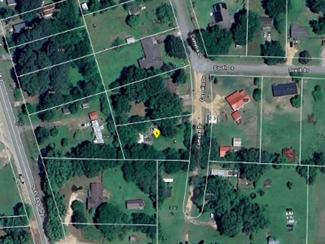 Camelia Dr