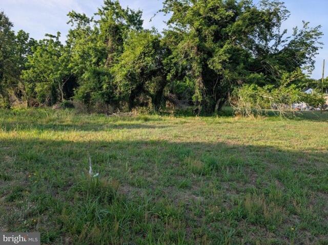 Camelia Ln, Berlin, Plot For Sale