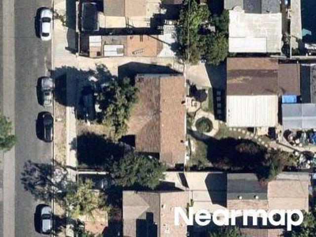 Camellia Ave